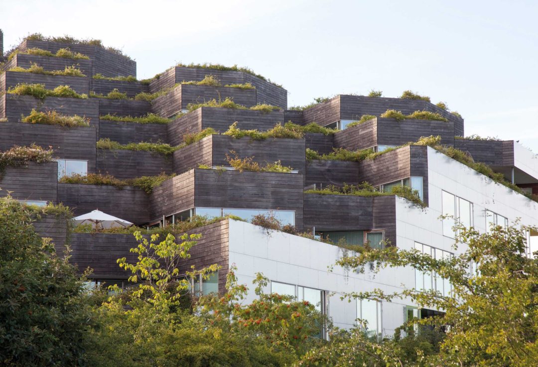 The Mountain - Film Greater Copenhagen